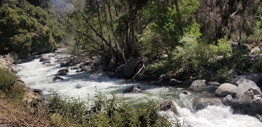 Kings Canyon – Gary and Elizabeth's Adventures